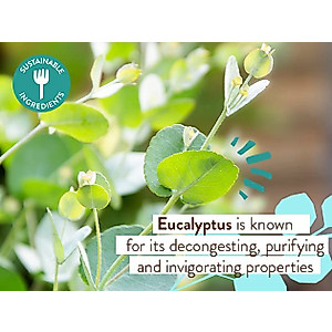 Babo Botanicals Eucalyptus Remedy Plant-Based 3-in-1 Shampoo, Bubble Bath & Wash - with Vapors of Eucalyptus, Rosemary & Peppermint - For Babies, Kids or Sensitive Skin - EWG Verified - 15 fl. oz.