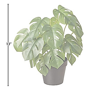 Amazon Basics Artificial Monstera Plant with Plastic Nursery Pot, 13-Inch