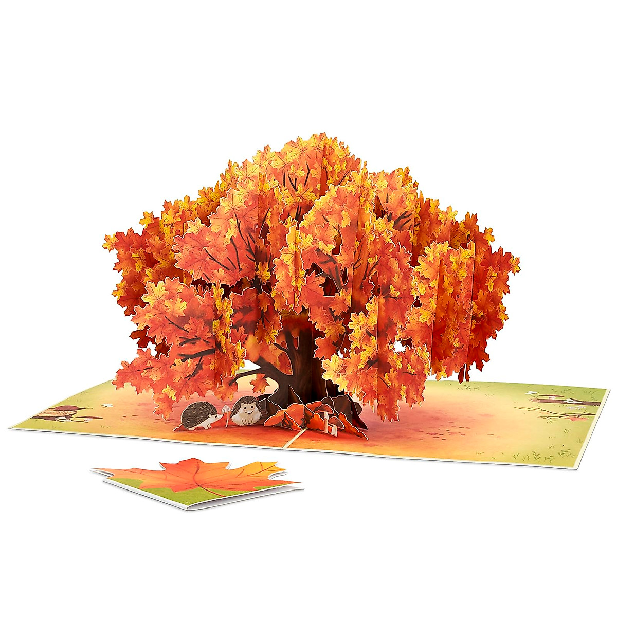 POPWOW Maple Tree Pop Up Card, Leaf, Leaves, Envelopes, Elegant 3D Greeting Cards, Ideal Gifts for Fall Birthday, Happy Autumn Themed, Season, Thanksgiving, All Occasions, 5x7