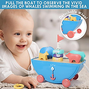 LilKisThk Montessori Toddler Toys Sorting and Stacking Games for Kids Preschool Learning Educational Gift for Boys Girls Age 3+ Years Old