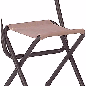 Coleman Folding Camp Chair | Woodsman II Portable Outdoor Chair, 17" x 17.5"