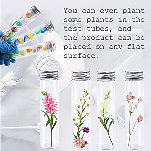 18 Pack 110 ML Plastic Test Tubes with Caps Clear Candy Tubes for Bath Salt Christmas Candy Storage Halloween Science Party Favors