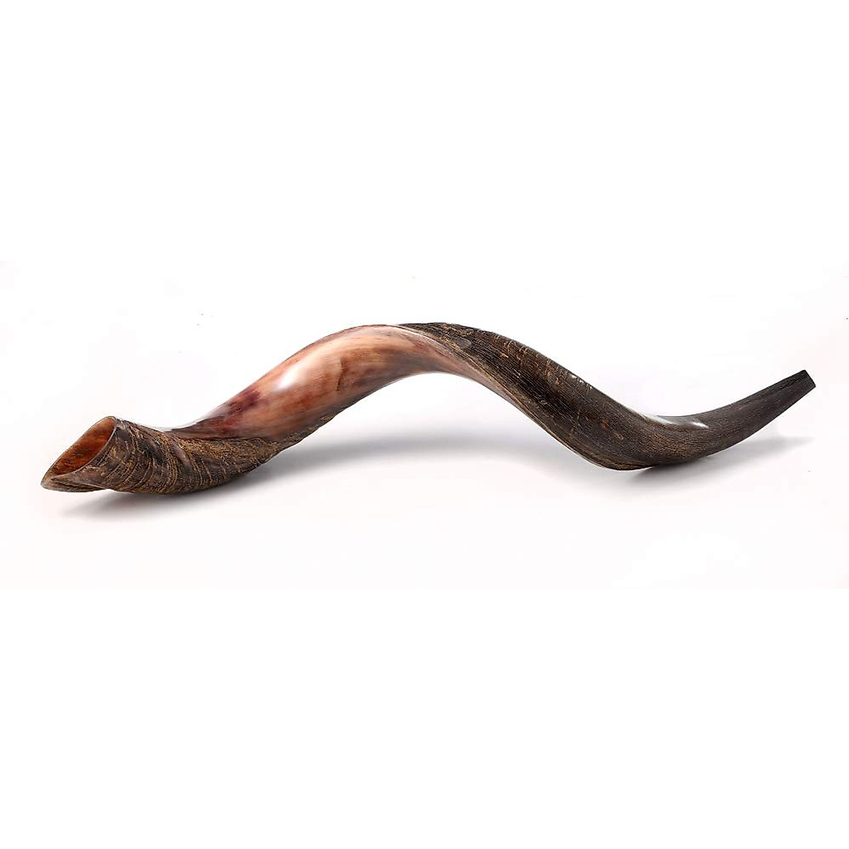 SHOFAR Set Half Polished Half Natural Kudu Horn Yemenite + Bag + Spray + Guide + Carrying Box Case (30"-32") From Israel