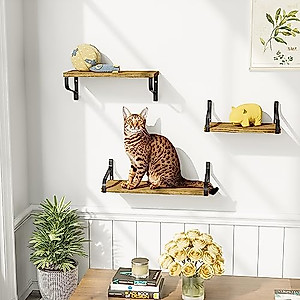 Love-KANKEI Floating Shelves Wall Mounted Set of 3, Large Wood Wall Shelves for Storage, Rustic Shelves for Display Bathroom,Bedroom,Living Room,Kitchen,Office and More Carbonized Black