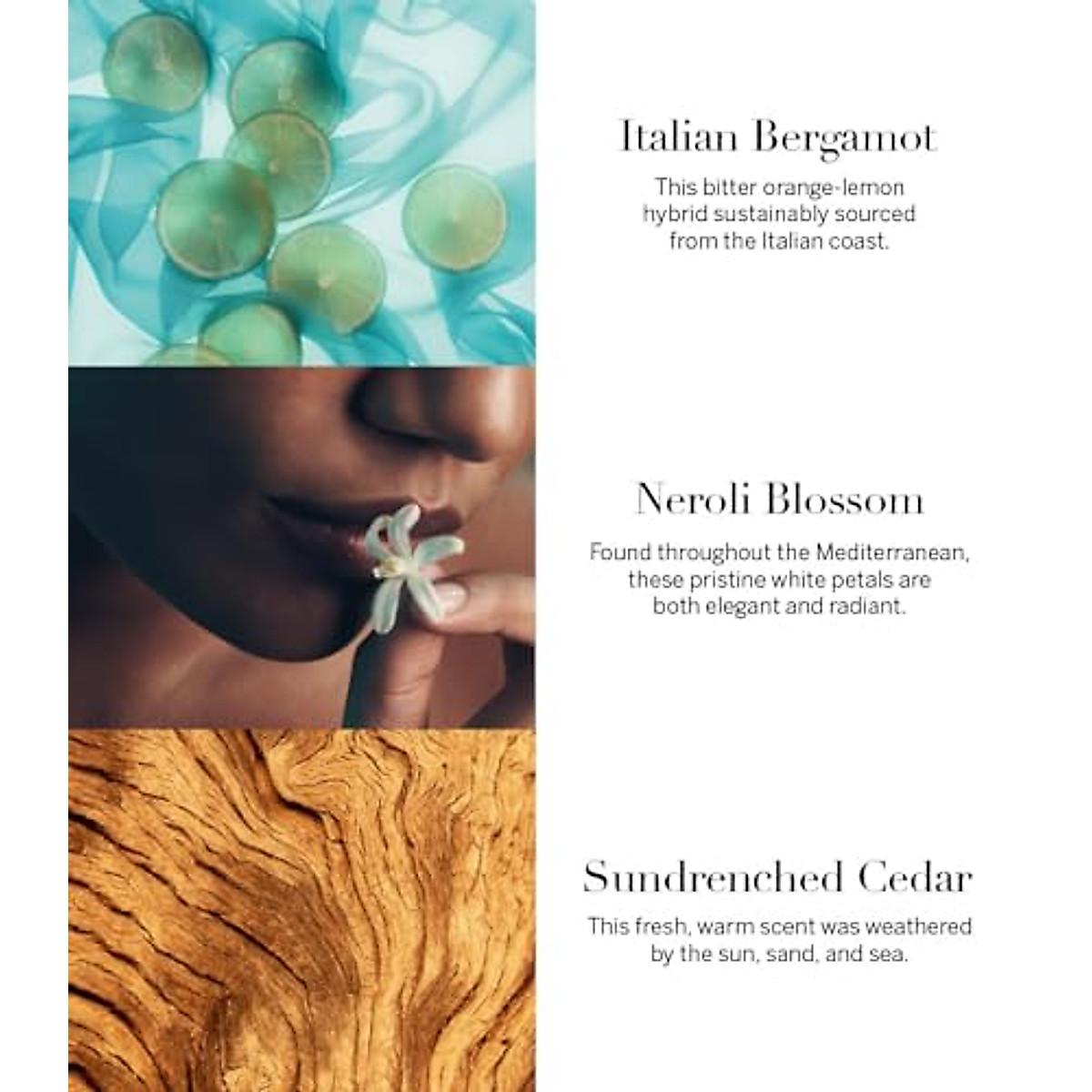 Victoria's Secret Very Sexy Sea Eau de Parfum, Notes of Italian Bergamot, Neroli Blossom & Sundrenched Cedar, Perfumes for Women (1.7 oz)