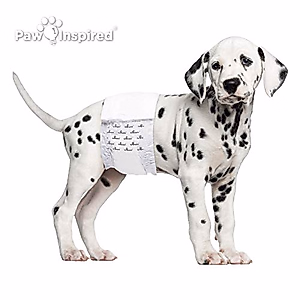 Paw Inspired Disposable Dog Wraps | Male Dog Diapers Ultra Protection | Belly Band for Male Dogs | Excitable Urination, Incontinence, or Male Marking (36 Count, Small)