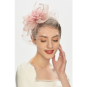 Cizoe Fascinator Hats for Women Tea Party Headband Kentucky Derby Wedding Flower Mesh Veil Fascinator (A-blush pink)