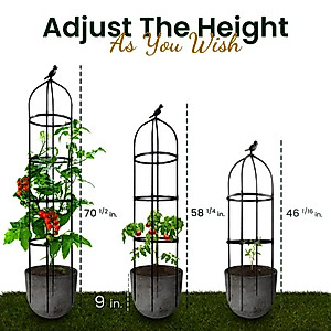 Idzo Metal Obelisk Trellis for Climbing Plants Outdoor 6ft, Rustproof Heavy Duty Steel Pipe with Plastic Coated for Garden Outdoor Potted Plant Support, Black Garden Trellis for Climbing Vine, 1pc