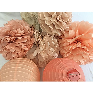 Hanging Party Decorations - Tissue Paper pom poms and Lanterns Backdrop Decor for Engagement Wedding Birthday Bridal Shower Bachelorette (Rose Gold)