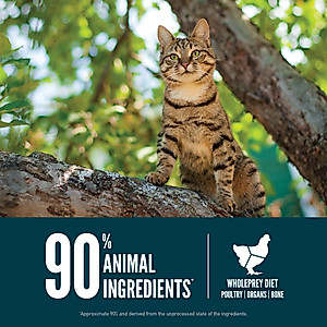 ORIJEN GUARDIAN 8 Dry Cat Food, Grain Free Cat Food for Adult Cats, With Chicken, Salmon and Rabbit, 4lb