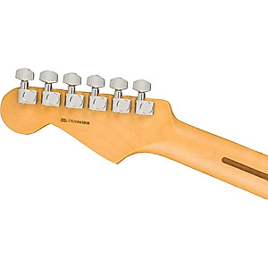 Fender American Professional II Stratocaster HSS - Roasted Pine with Maple Fingerboard