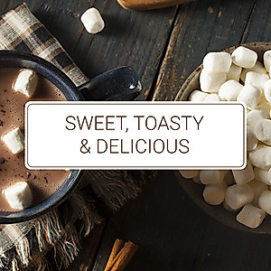 Monin - Toasted Marshmallow Syrup, Flavor of Campfire Treats, Natural Flavors, Great for Mochas, Shakes, Cocoas and Cocktails, Non-GMO, Gluten-Free (750 ml)