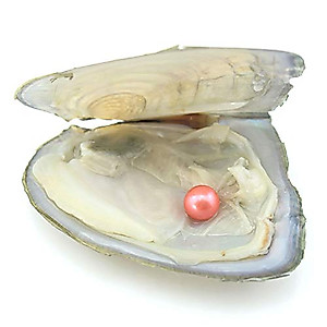 10PC Freshwater Pearl Cultured Love Wish Pearl Oyster with Round Pearl Inside for Pearl Gift Fun for Children Family Friends Party Oyster with Pearls Inside(7-8mm, 10PC)