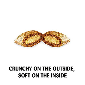 Temptations Classic Cat Treats Seafood Medley Flavor, 16 Oz. Tub