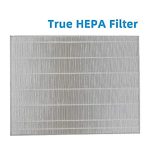2-Sets Replacement Filter H Compatible with Winix 5500-2 Air Purifier,Compare to Part Winix 116130