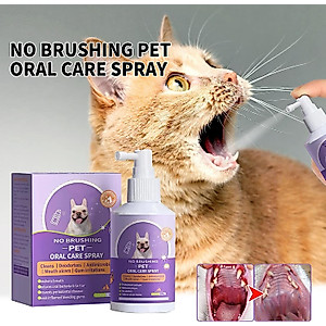 ANRUI Teeth Cleaning Spray for Dogs & Cats,Pet Oral Spray Clean Teeth,Pet Breath Freshener Spray Care Cleaner,Targets Tartar & Plaque Eliminate Bad Breath (1PCS)