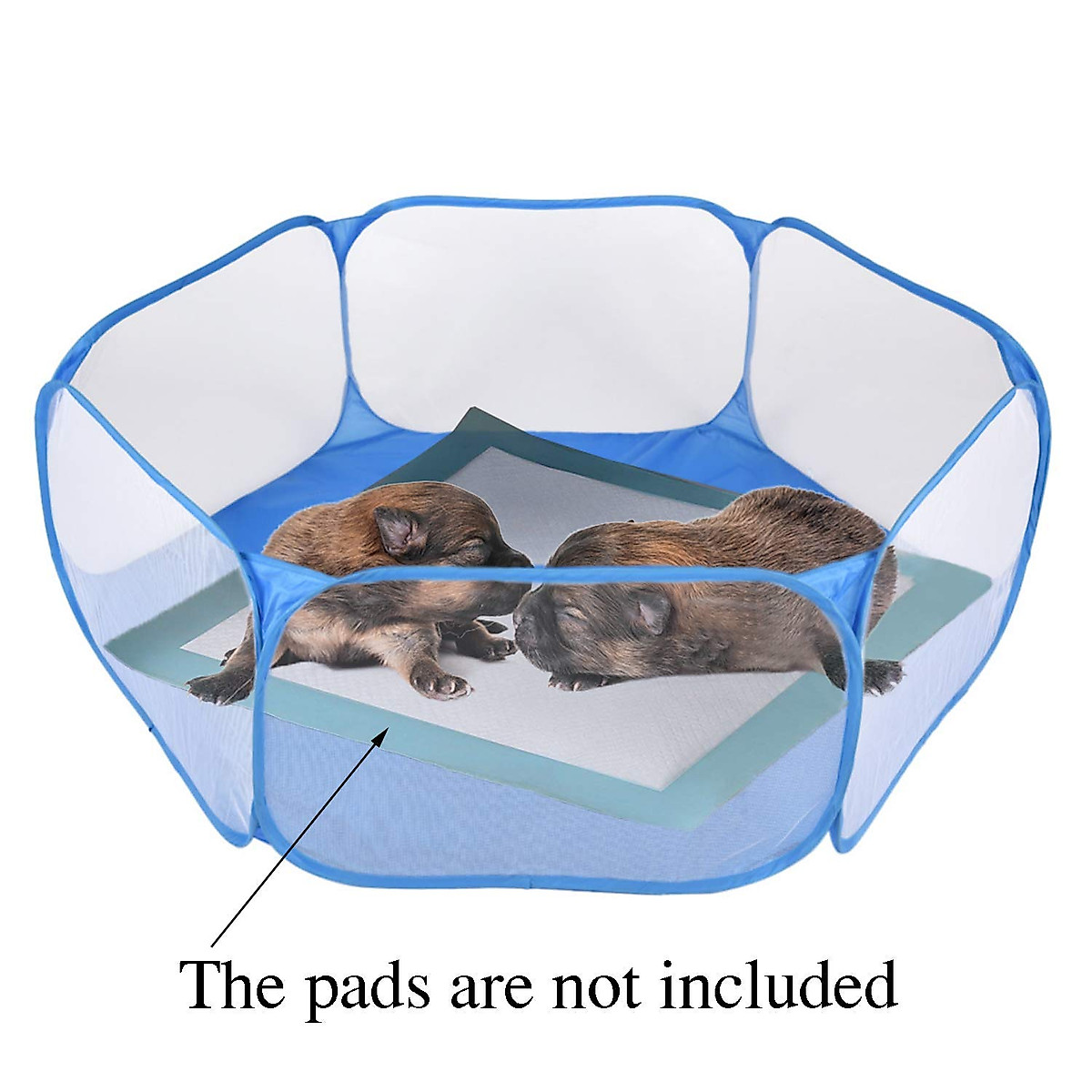 RYPET Guinea Pig Playpen - Breathable & Transparent Pet Playpen Pop Open Outdoor/Indoor Exercise Fence, Portable Yard Fence for Guinea Pig, Rabbits, Hamster, Chinchillas and Hedgehogs