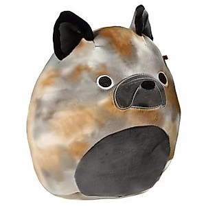 Squishmallows Kellytoy 2023 Ballis The Bulldog 7.5"