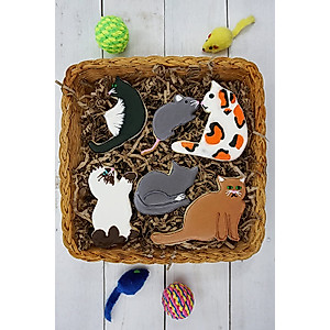 R&M International When the Cat's Away Cookie Cutters, Assorted, 6-Piece Set