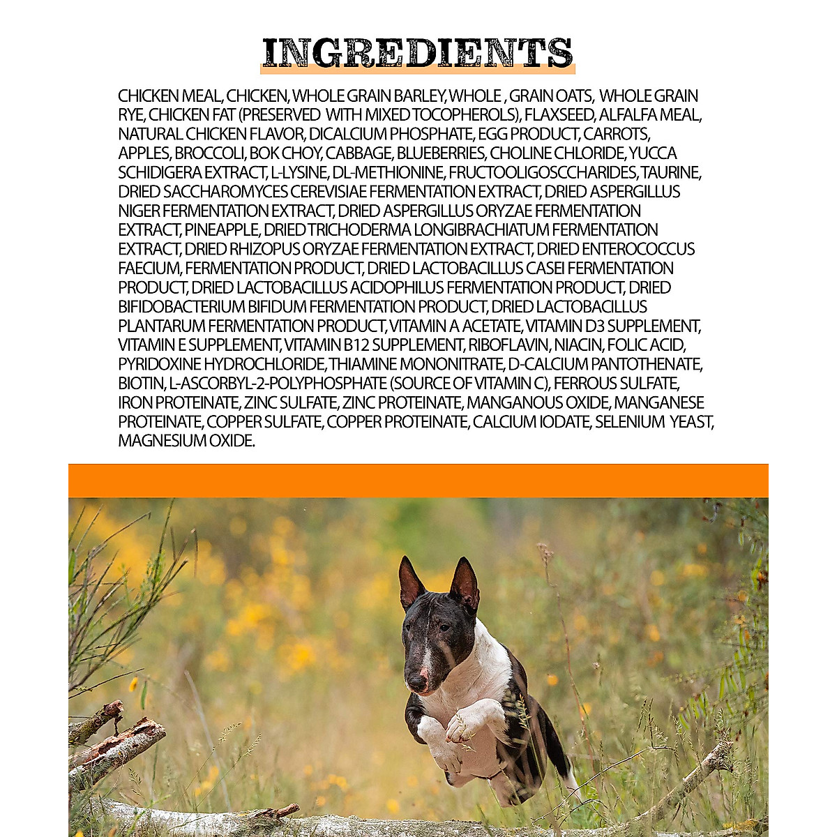 HORIZON PET NUTRITION Pulsar Whole Grain, Non GMO, Meat Dense All Life Stage Dry Dog Food 8.8 lb Bag