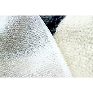 Marushin My Neighbor Totoro Imabari Gauze Towel(Spring Breeze and Totoro) Made in Japan