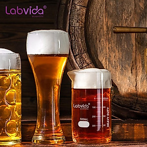 Labvida 6pcs 600ml Upgrated Thick Glass Beakers, Griffin Low Form Beaker Set with Double Scale, 3.3 Boro, LVA030