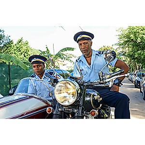 Death in Paradise Staffel 6 (Ltd. Edition + Palme