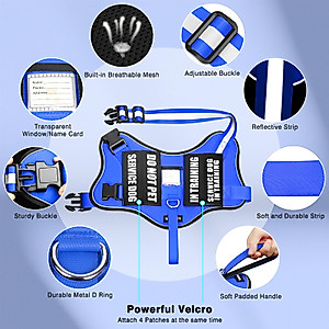 MOOGROU Service Dog Vest Harness and Leash Set+10 Patches,No Pull&Easy Walk Reflective Dog Harness with Soft Padded Handle for Training/Everyday,Fit Small/Medium/Large/Extra-Large Dogs (Blue M)