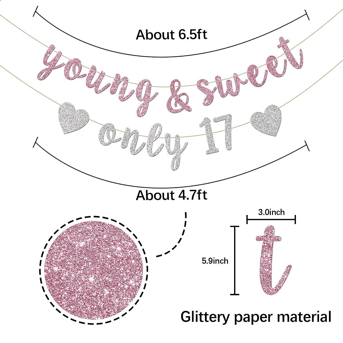INNORU Young & Sweet Only 17 Banner - Happy 17th Birthday Party Decor for Girls - Cheers to 17 Years Party Decorations Supplies, Pink & Silver Glitter