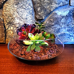 Mosser Lee ML1140 Red Lava Rock Soil Cover, 1.5 dry qt., Red