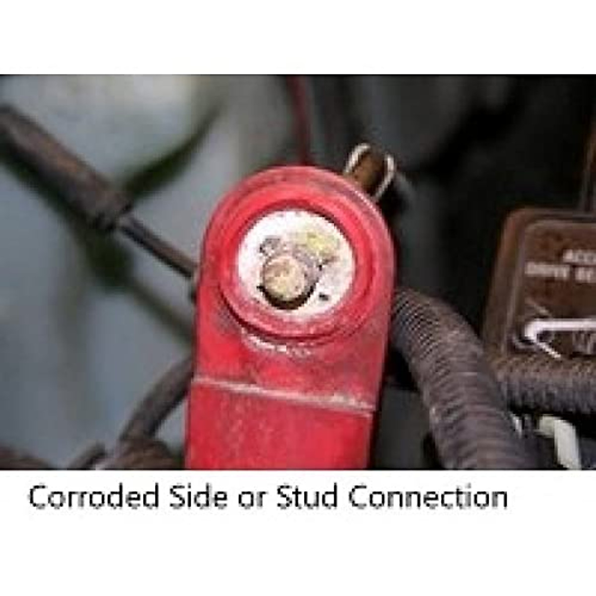 STOP CORROSION Battery Corrosion Guard