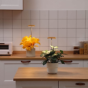 Plant Grow Light for Indoor Plant,Bamboo Mini LED Grow Light Garden,Height Adjustable,Automatic Timer with 8/12/16 Hours