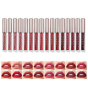 LANGMANNI Matte Liquid Lipstick Makeup Set Velvety Liquid Lipstick Long Lasting Durable Nude Lip Gloss Beauty Cosmetics Set for Girls and Women (16Pcs set)
