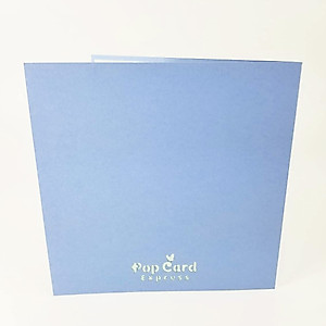 POP CARD EXPRESS Dragonfly 3D Pop Up Greeting Card - Happy Birthday Card, Just Because, Mother's Day, for son, daughter, kids, children (Dragonfly Pop Up Card)