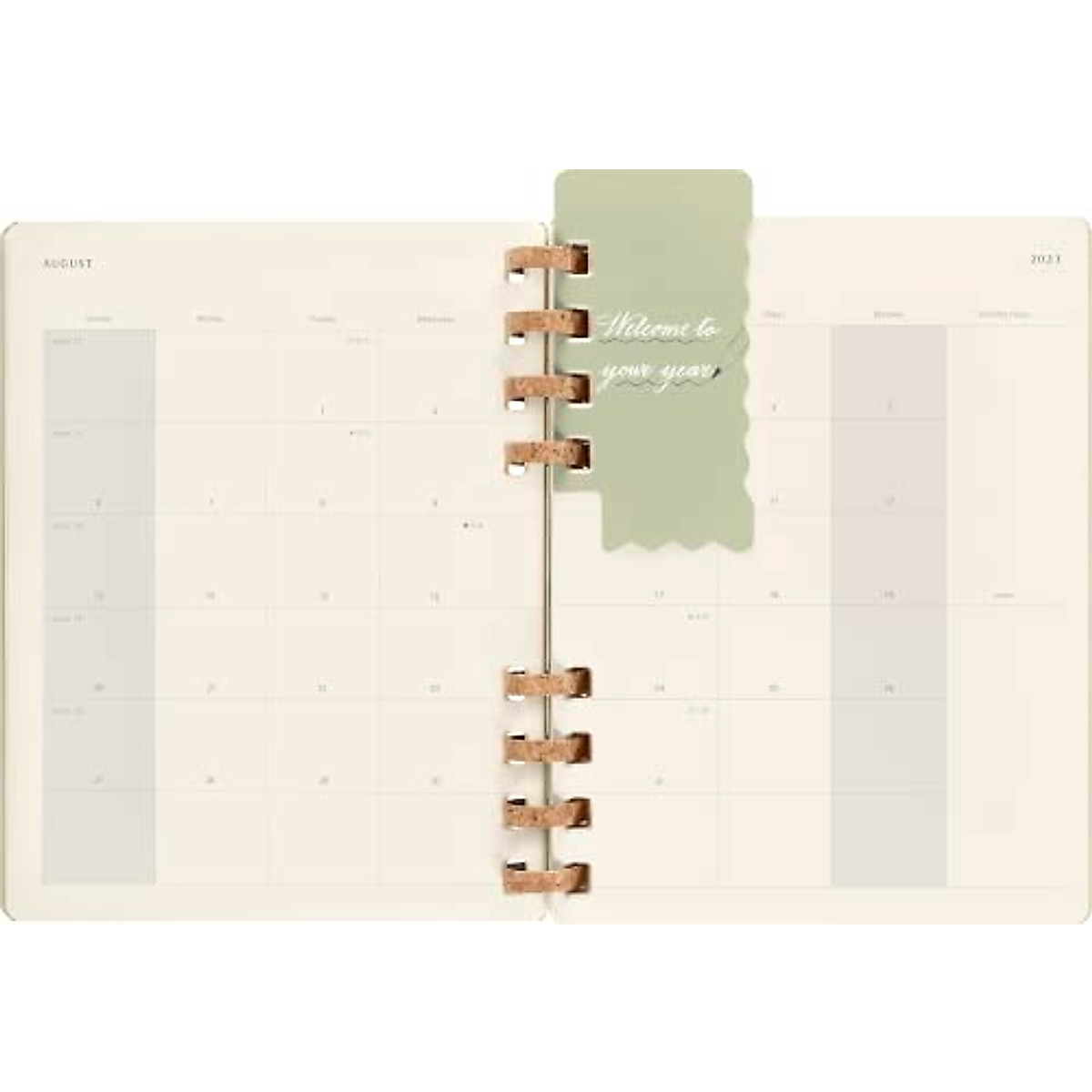 Moleskine 2024 Spiral Academic Planner, 12M, Extra Large, Crush Kiwi, Hard Cover (7.5 x 10)