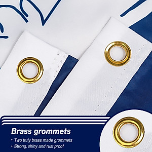 XIFAN Double Sided South Carolina State Flag 3x5 ft, Heavy Duty 3 Ply Durable Polyester, SC Flag with Vibrant Print/4 Rows Hemming/Brass Grommets for Indoor Outdoor Decor