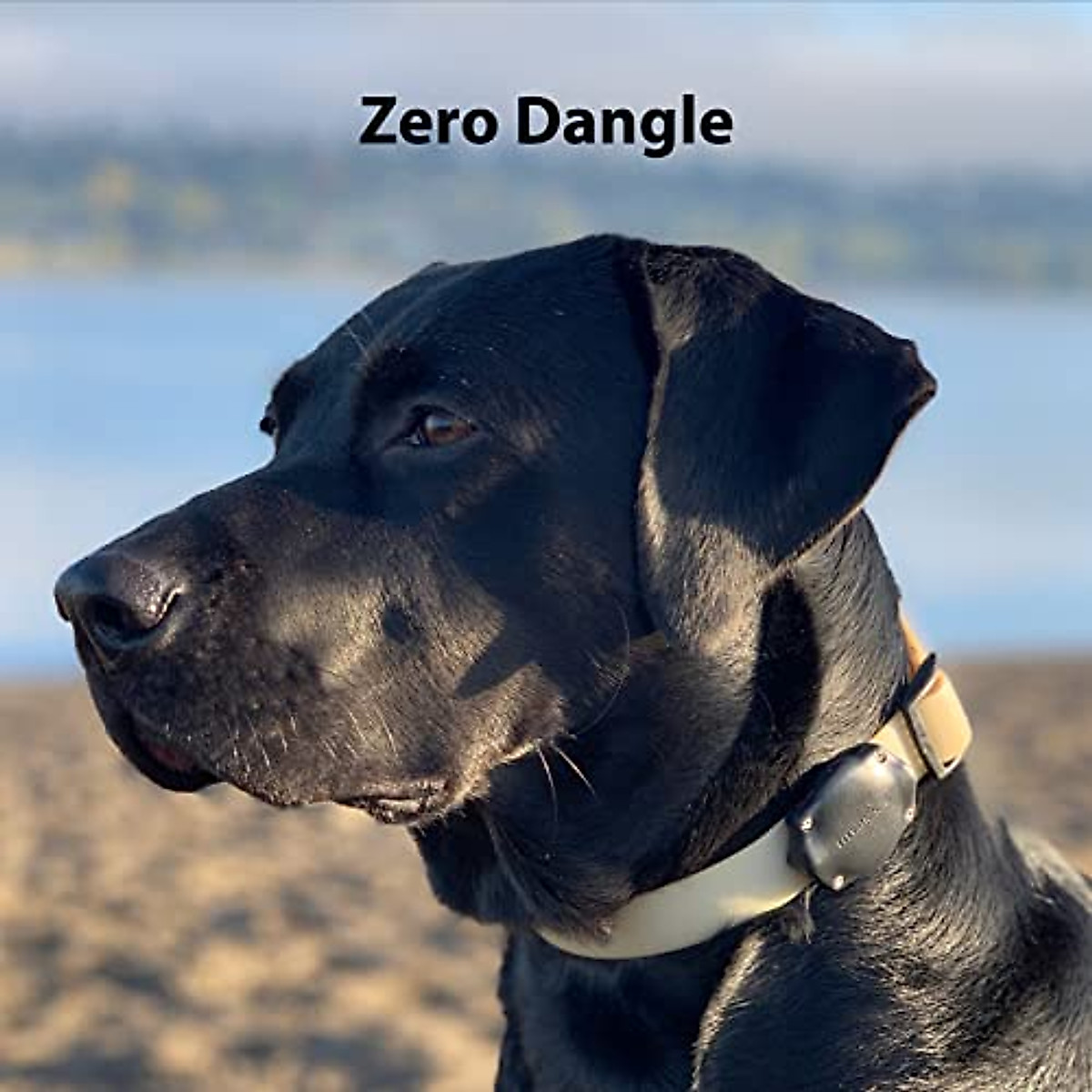 TagVault Pet: The Original AirTag Dog Collar Waterproof Mount, Ultra-Durable, Fits All Width Collars | Elevation Lab