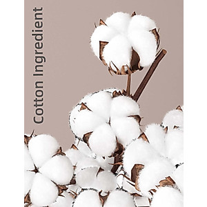 WAIKAS [Pack Of 5 Pairs] Men's Ankle Socks, Stretch Cotton Socks For Man, Common Size, Black/White/Grey/Dark Grey/Navy Blue each color 1 pcs, 5pcs Packing