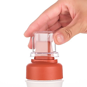 Srtood 2 Pack Ketchup Squeeze Bottles, 8 OZ Plastic Condiment Squeeze Squirt Bottles and Caps with Discrete Measurements, for Ketchup, BBQ, Sauces, Syrup, Condiments, Dressings, Paint - BPA Free