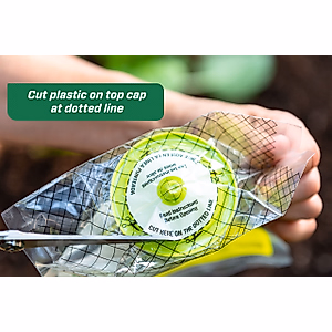 RESCUE! Disposable Yellowjacket Trap - Central & Eastern Formula