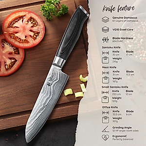 Wakoli 4 Piece Professional Damascus Kitchen Knife Set, Made of 67 Layers of Genuine Damascus Steel with VG10 Core, Chef's Knives Set with Ergonomic Micarta Handles for Precision and Comfort (MIK)