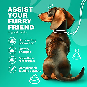 No Poo Chews for Dogs - Coprophagia Deterrent for Dogs - Dog Probiotics for Digestive Health - Forbid for Dogs Stool Eating Deterrent - Digestive, Gut & Immune Health Treats - No Poop Eating for Dogs