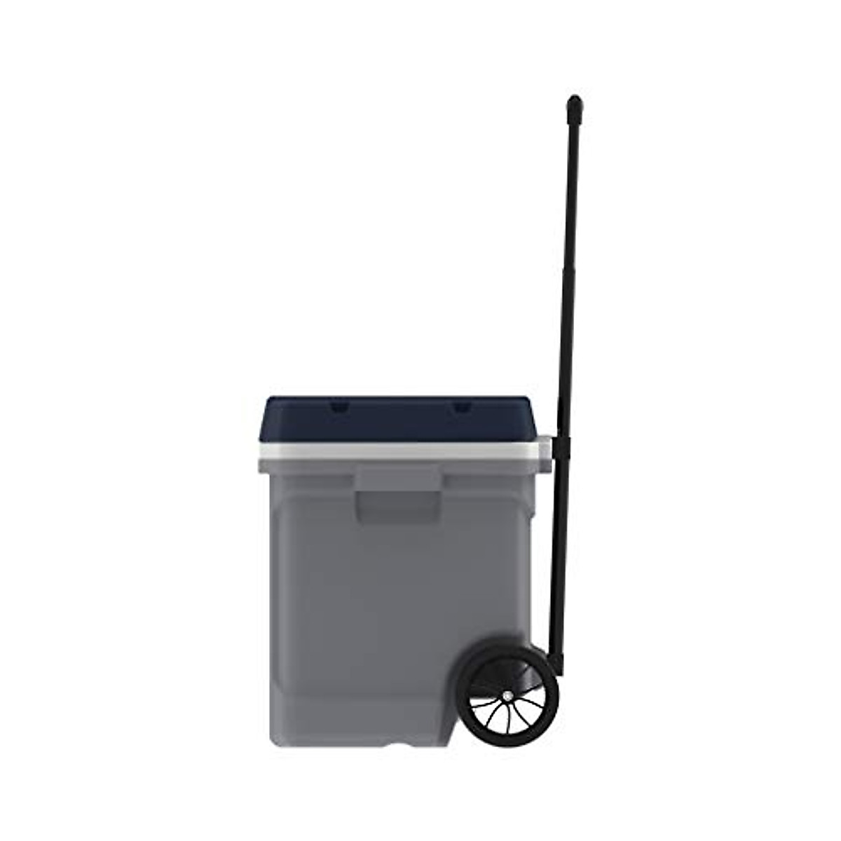 Igloo Maxcold 40-100 Qt Commercially Insulated Coolers