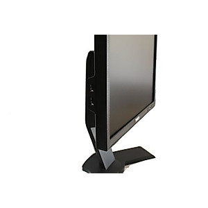 Dell Professional P170S 468-9272 17-Inch Screen LCD Monitor