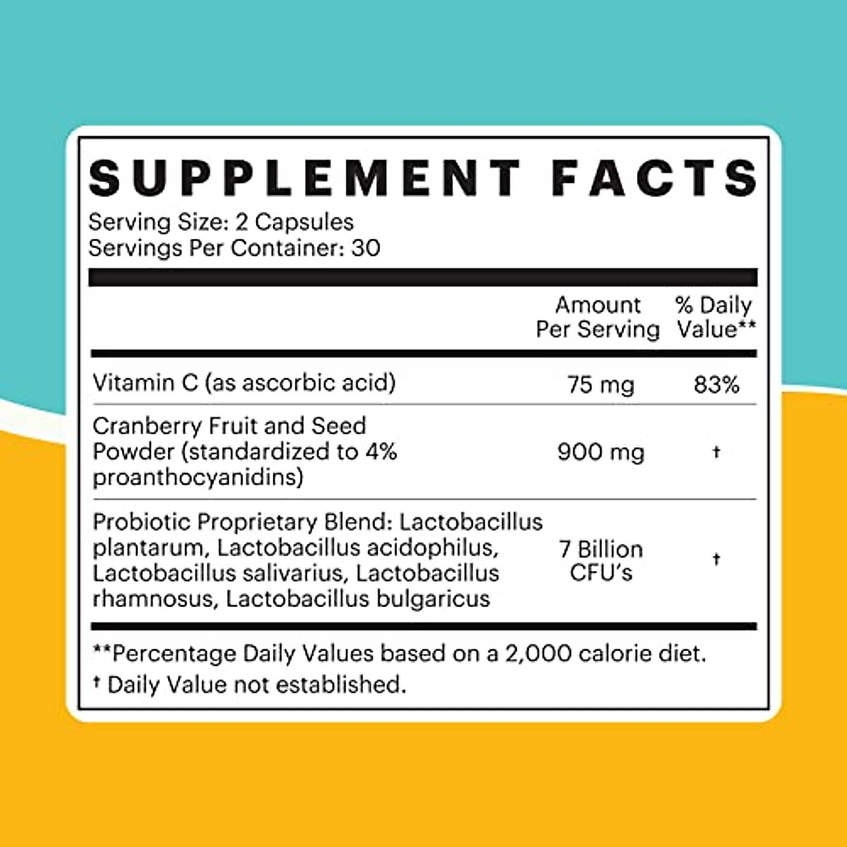 Because Probiotics Cranberry UTI Defense Capsules for Women (60 Capsules, 1 Bottle)