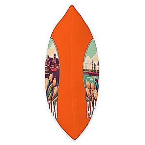 Amsterdam Cityscape Tulip Netherlands Holland Souvenir Throw Pillow