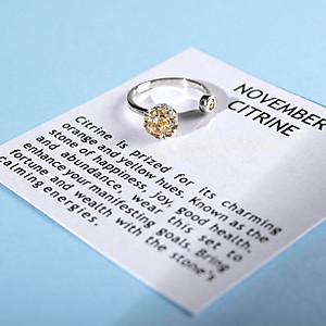 Shop LC Citrine Spinner Anxiety Ring for Women 925 Sterling Silver Platinum Plated Open Adjustable Birthstone Jewelry Stress Relief Gifts for Women Size 6-8 1.10 ctw Birthday Gifts