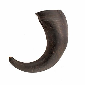 Aussie Naturals Outback Jack Water Buffalo Bully Horn, Large