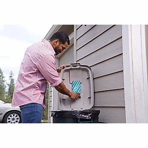 RESCUE! FlyPad – Sticky Fly Traps for Indoor & Outdoor Use - 4 Pack (8 Traps)