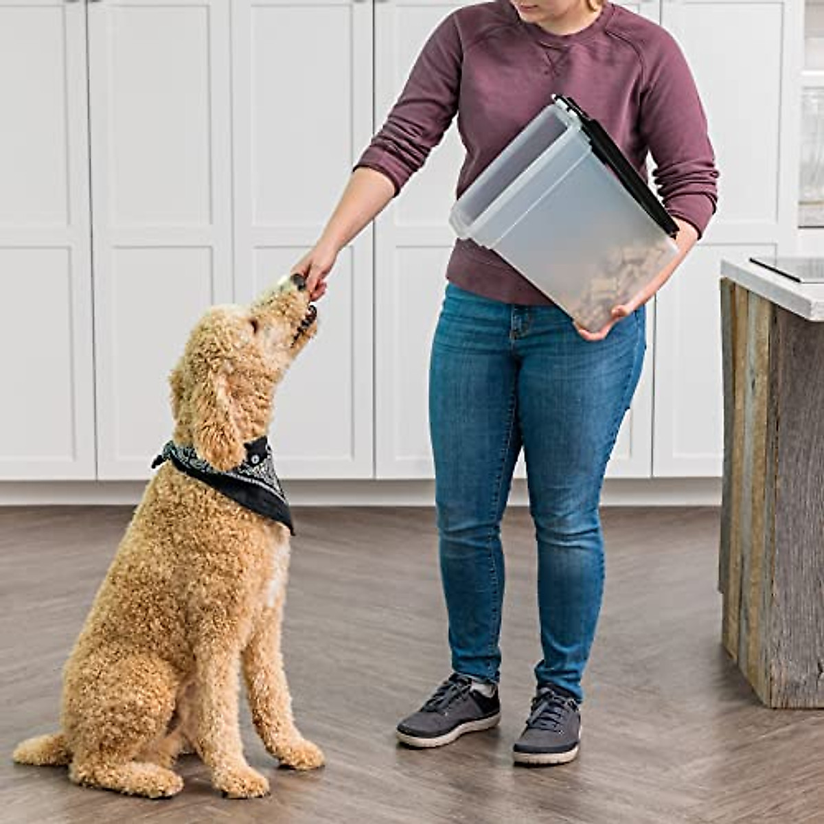 IRIS USA 10 Lbs / 12.75 Qt WeatherPro Airtight Pet Food Storage Container, for Dog Cat Bird and Other Pet Food Storage Bin, Keep Pests Out, Keep Fresh, Translucent Body, BPA Free, Clear/Black